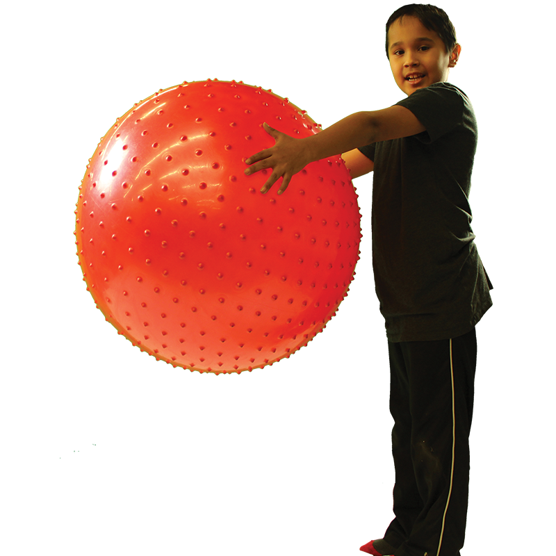 Inflatable Therapy Ball – Indigenous Inclusive Education