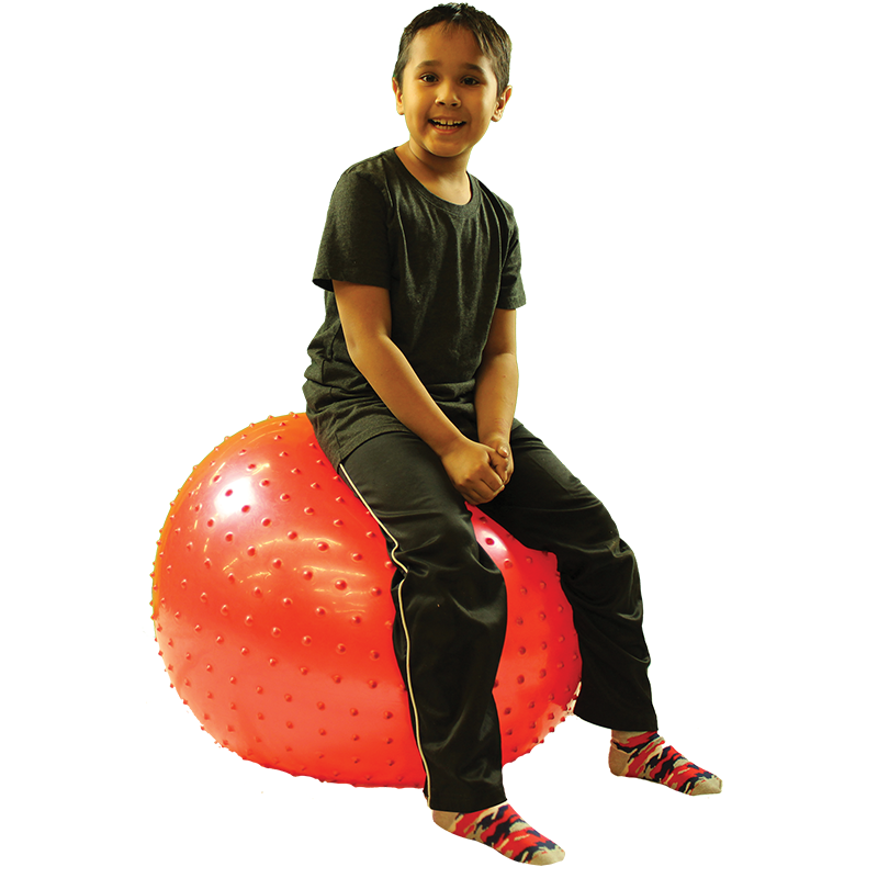 Inflatable Therapy Ball – Indigenous Inclusive Education